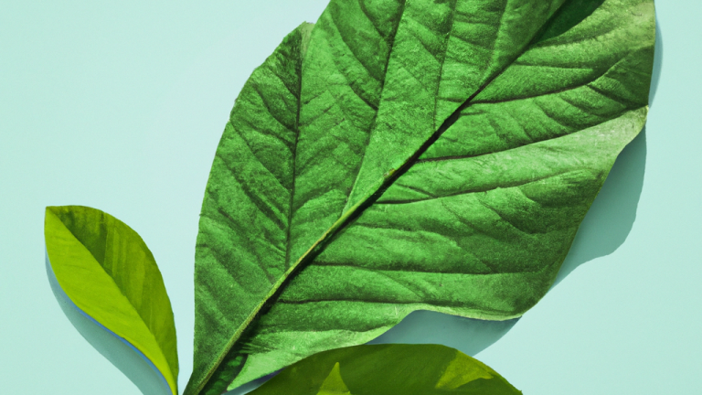 Practical Tips for a Zero Waste Lifestyle: Save the Planet by Reducing ...